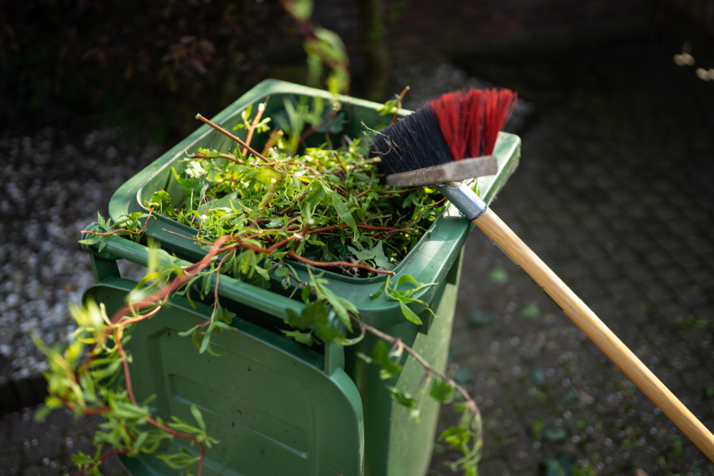 6 Surprising Facts about Green Waste